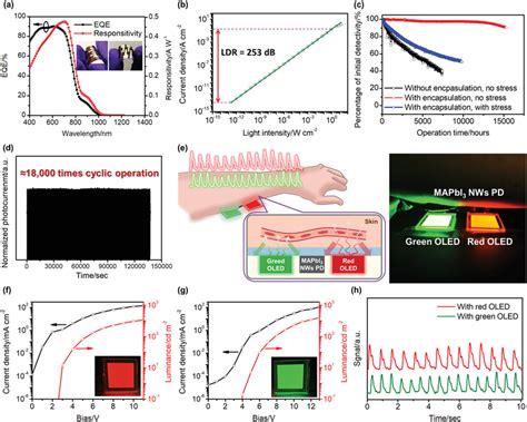 A Eqe Spectrum And Spectral Responsivity Of The Flexible Pds Measured Download Scientific