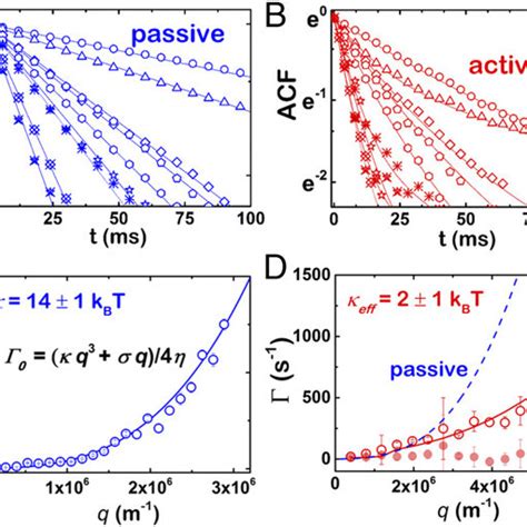 Time Correlation Function And Relaxation Dynamics Experimental Acfs Of Download Scientific
