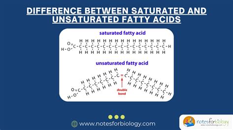 Difference Of Saturated And Unsaturated Fatty Acids Best