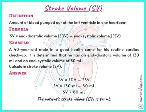 Cardiac Preload Vs Afterload Vs Contractility With An Example Nurseship
