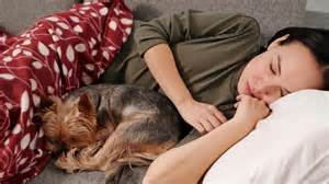 20 Lazy Activities That Are Really Good For You