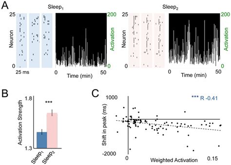 Reactivation Of Task Related Neural Ensembles During Slow Wave Download Scientific Diagram