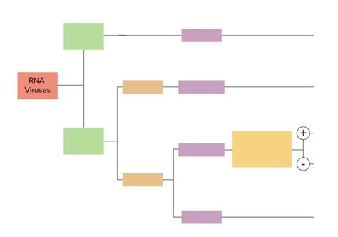 Bsc 302 Ch 6 Diagram Diagram Quizlet