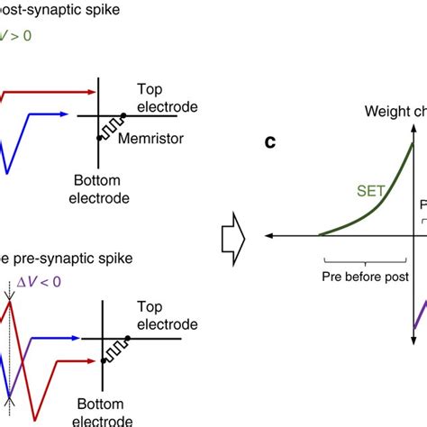 stdp implementation relative timing of the pre and post synaptic