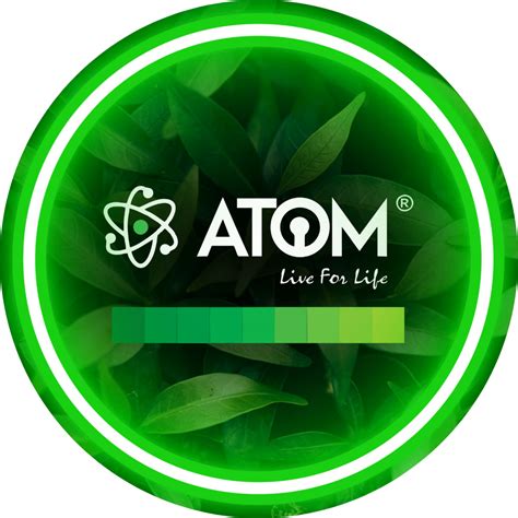 Top Lock Manufacturers Redefining Home Security In India Atom Locks