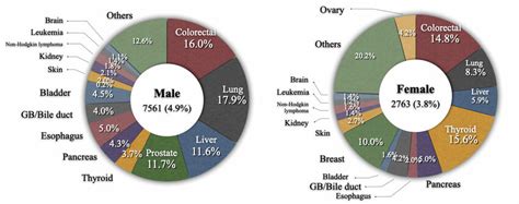 Frequency Of Secondary Primary Cancer According To Sex Download Scientific Diagram