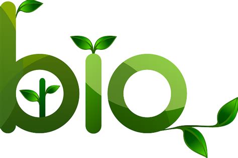 Bio Freundlich Umwelt · Kostenlose Vektorgrafik auf Pixabay