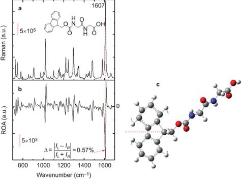 Remotely Excited Raman Optical Activity Using Chiral Plasmon