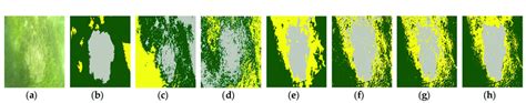 Validation Tests Of The Proposed Segmentation Algorithms Using Low