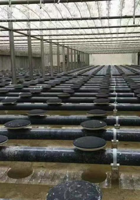 Crown Type Bubble Air Disc Diffuser Manufacturer Company Oem