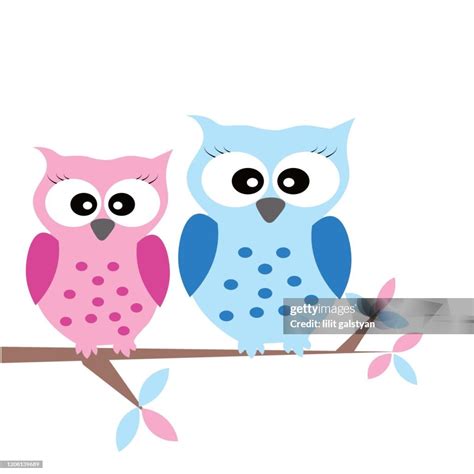 Cute Owl Illustration High Res Vector Graphic Getty Images