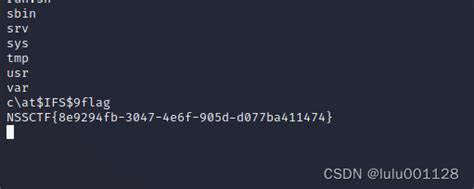 每周练习and学习(一)11 Nc的使用与系统命令执行ctf Nc Csdn博客 每周练习and学习(一)11 Nc的使用与系统命令执行ctf Nc Csdn博客