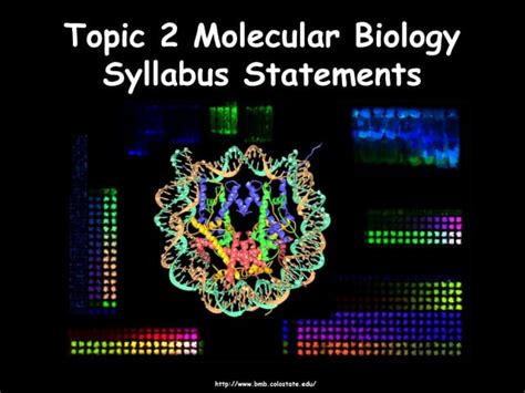 2 Molecular Biology Syllabus Statements Ppt