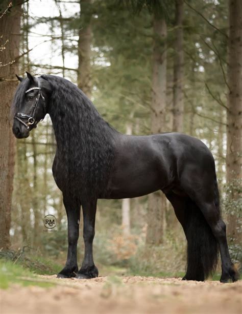 Ulbe 506 Naar Amerika Kfps