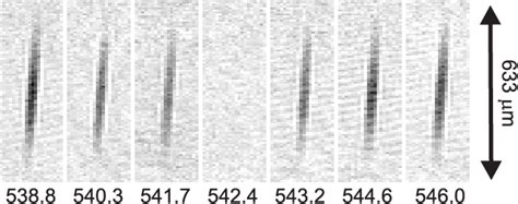 Figure 2 From Observation Of Heteronuclear Feshbach Resonances In A