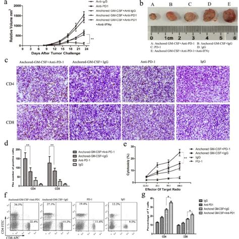 Anchored Gm Csf Vaccine Combined With Pd 1 Blockade Enhanced The T Download Scientific Diagram