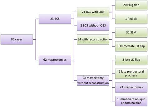 Surgery Flowchart Obs Oncoplastic Breast Surgery Bcs Breast