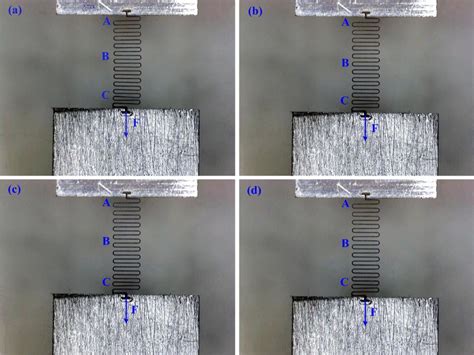 The Deformation Process In The Y Direction Download Scientific Diagram