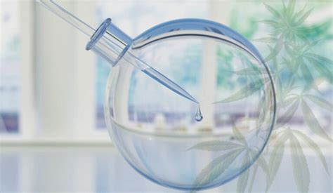 Cannabis Potency Quality And Contamination Testing