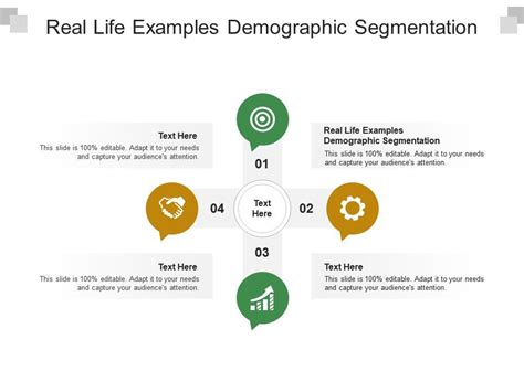 Real Life Examples Demographic Segmentation Ppt Powerpoint Presentation Summary Samples Cpb