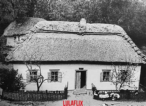 A Trágica História De Mastuf E Marisca Lulaflix