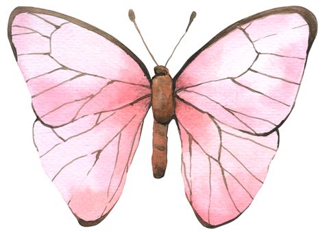 Mariposa Acuarela Rosa Png Para Descargar Gratis