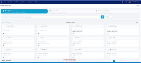 Show More Items On The Manage User Access Page Iiq Discussion And Questions Sailpoint