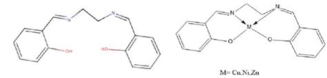 Schiff Base Ligand Fig 2 Metal Ligand Complex Download Scientific