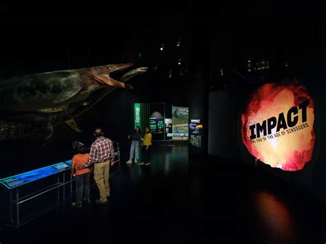Amnhs Newest Exhibit Relives The Worlds Most Famous Extinction —with An 18 Foot Triceratops