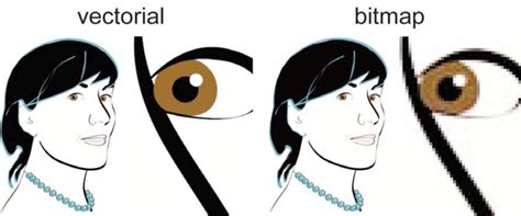 Vector Compare To Bitmap Download Scientific Diagram