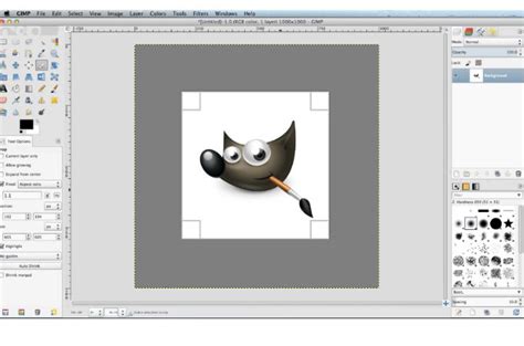 Top 5 Aplicativos De Edição De Fotos Para Mac [pagos And GrÁtis]
