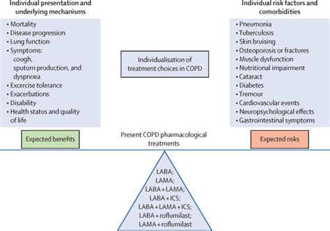 Current Concepts In Targeting Chronic Obstructive Pulmonary Disease