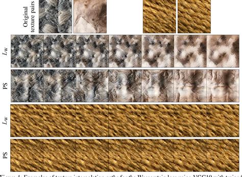 texture interpolation for probing visual perception