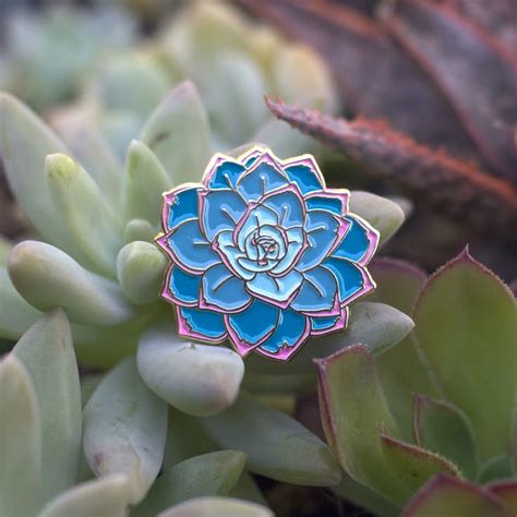 Cactus And Succulent Print Inspo Album Femalefashionadvice Pin And