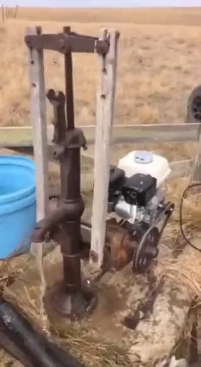 Avner Klein Posted On Linkedin