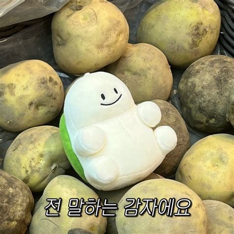 판다스pandas 세션 2 데이터 추출하기 결측치 처리하기 — Narchive