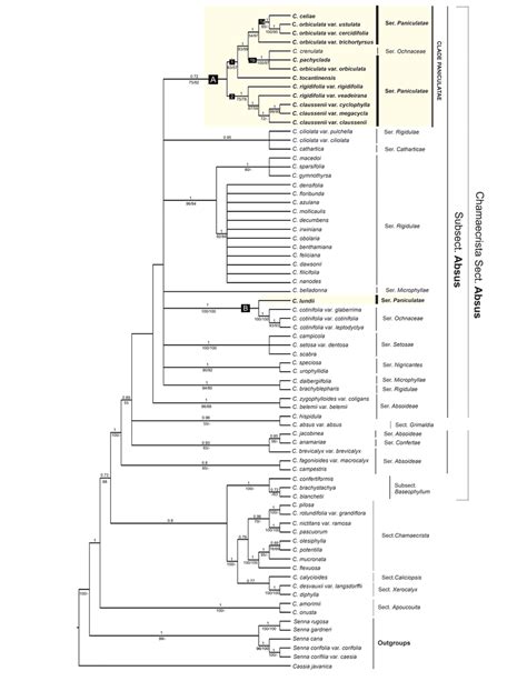 majority rule consensus tree from bayesian inference bi of the