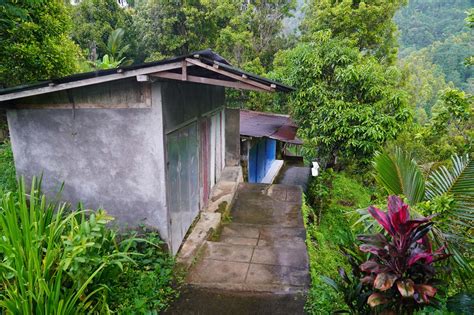 Gitgit Waterfall Largest Of Many Falls On Gitgit Stream