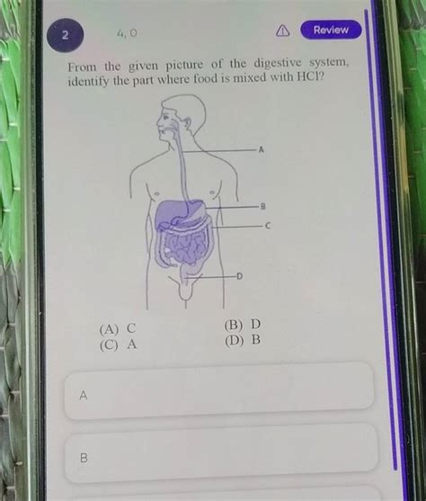 2 From The Given Picture Of The Digestive System Identify The Part Where