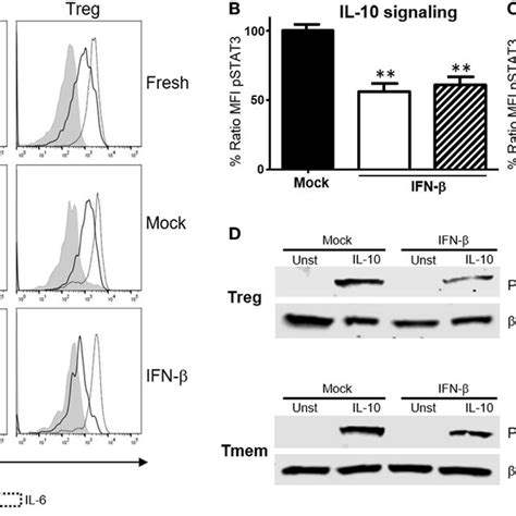 Ifn β Signals Through Jak Stat Pathway To Directly Inhibit Download Scientific Diagram