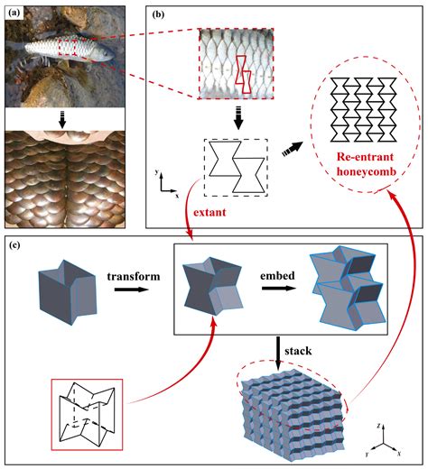 Polymers Free Full Text Low Velocity Impact Resistance Of 3d Re Entrant Honeycomb Sandwich
