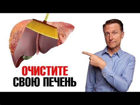 Топ-7 продуктов для детоксикации печени💥 - YouTube