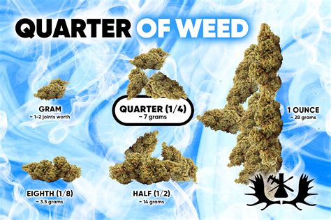 Visual Weed Measurements And Price A Beginners Guide Moose Labs Llc