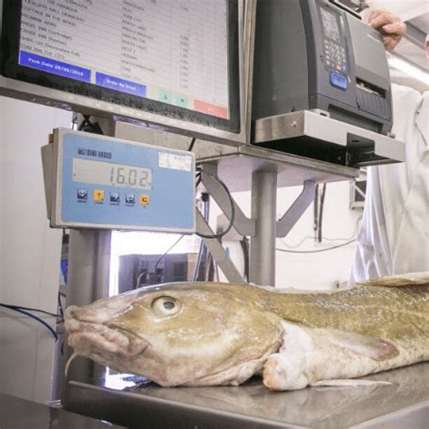 Ocm Outer Case Marking System Micro Weighing Solutions