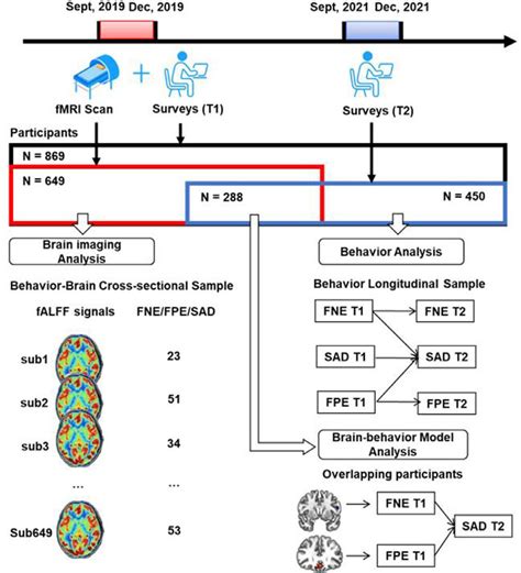 A Schematic Overview Of The Samples Structure And Analysis Pipeline
