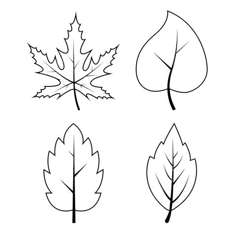 Autumn Symbol Collection Contoured Leaves Outlines And Fall Foliage