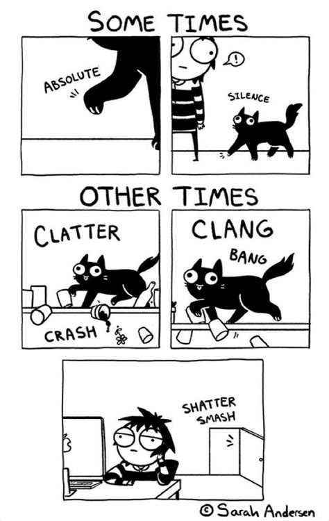 22 Funny Comics By Sarah Andersen Show The Quirky Differences Between