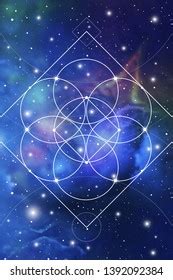 Sacred Geometry Flower Life Design Template Stock Vector Royalty Free
