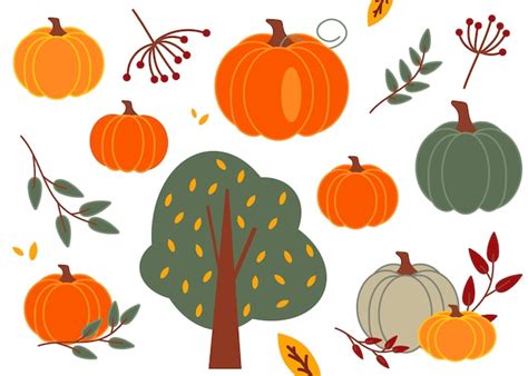 Premium Vector Set Of Autumn Elements