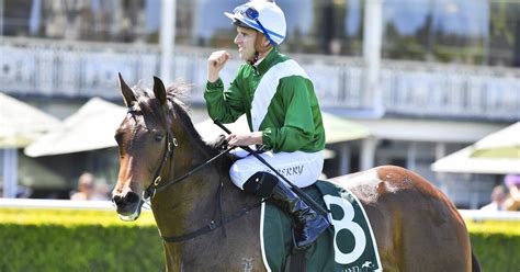 Sydney Trainer Michael Freedman Eyes Widden Stakes Success Newcastle